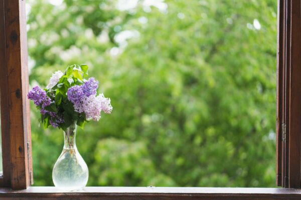Are Your Windows Ready for Spring? - R and C Glass